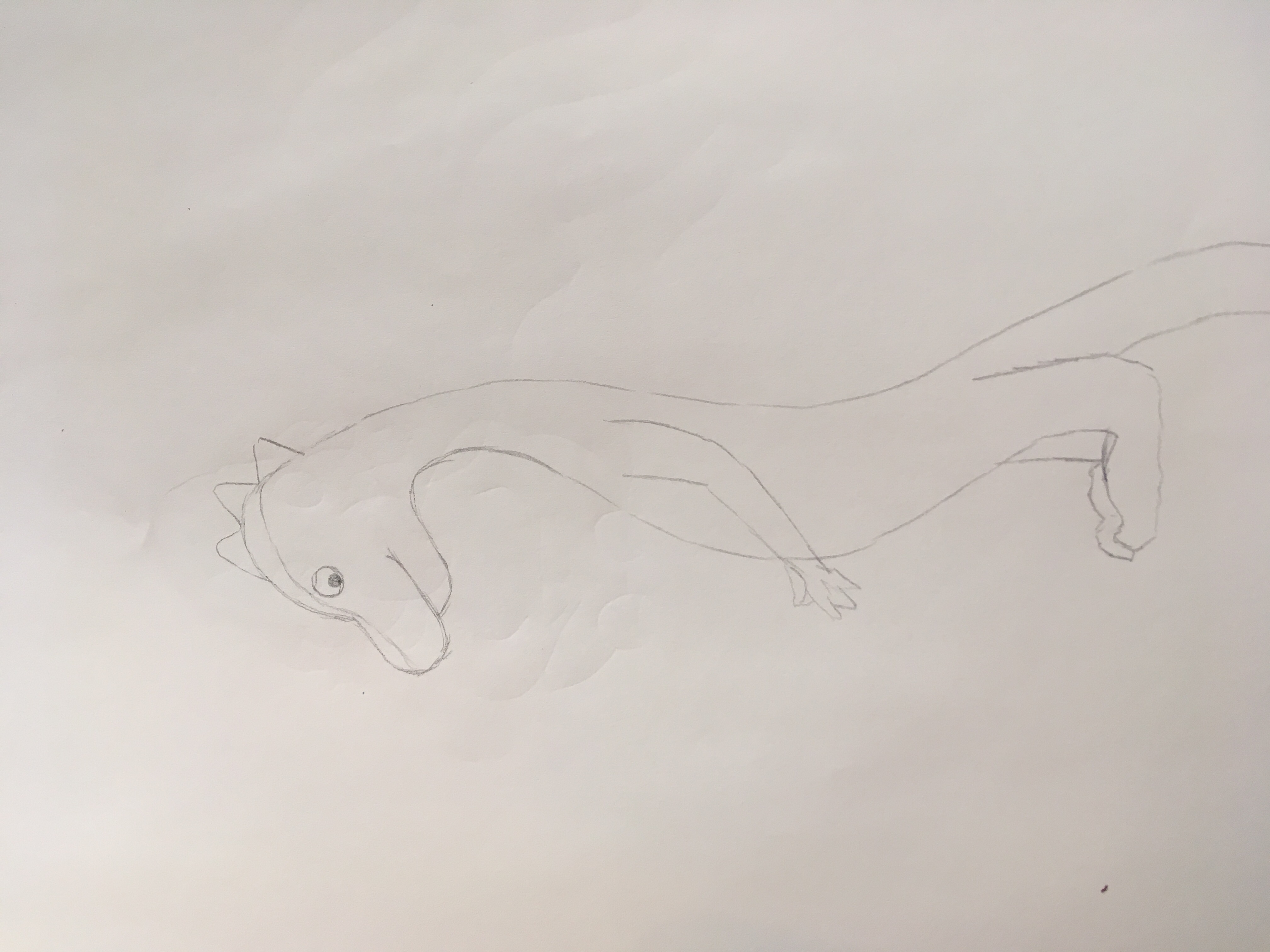 Holiday cards: Drawing Dragons Day 317 - Kate Ristau