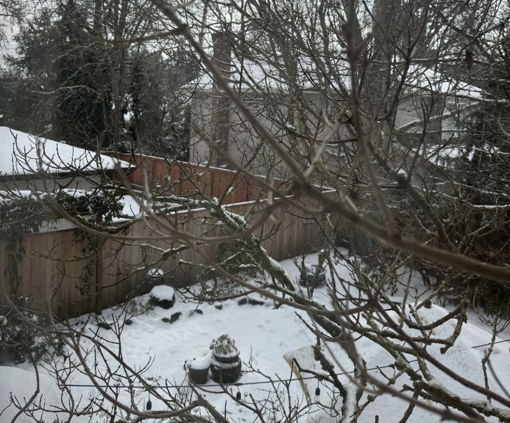 Let it Snow - Kate Ristau